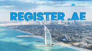 Understanding the .ae Domain Name: The Digital Asset of UAE - Gate Hills